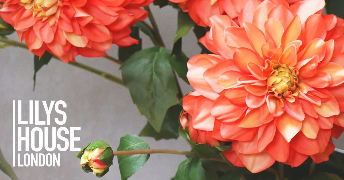 Foliage Bases – Lily's House London